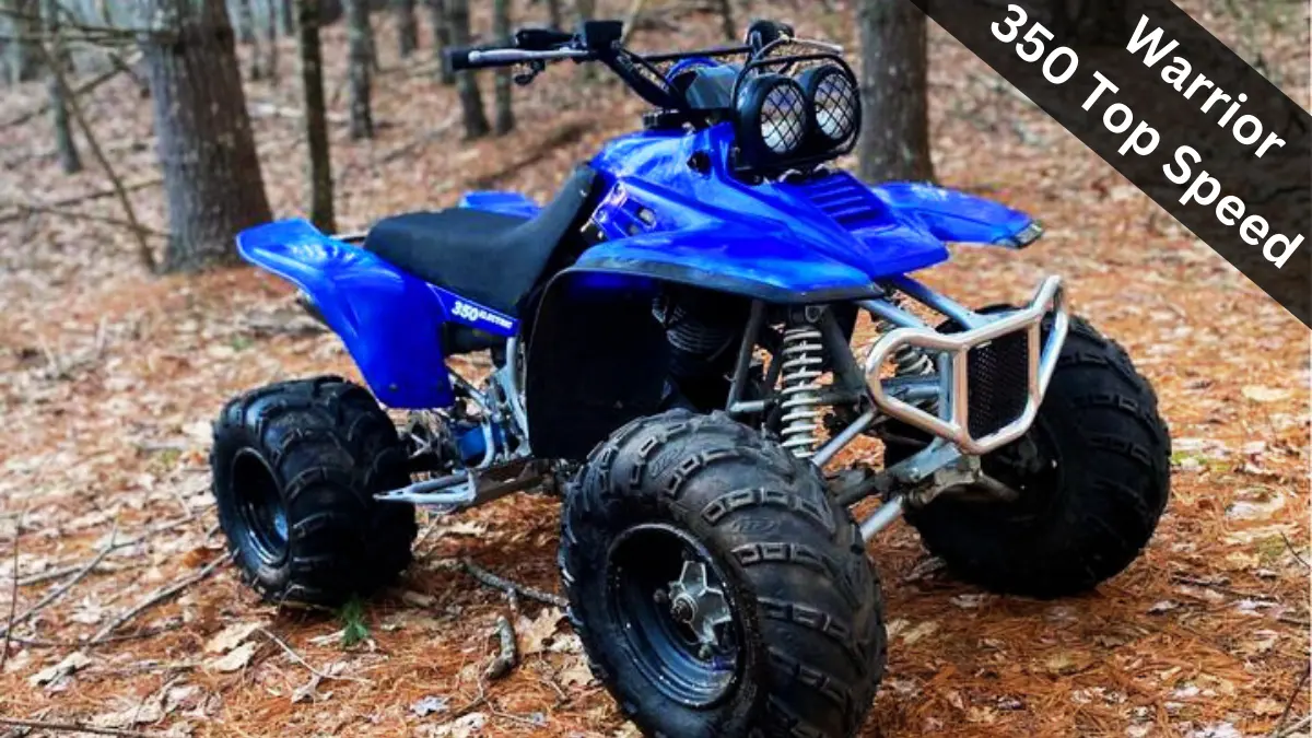 Yamaha Warrior 350 Specs HP Weight And Top Speed 57 OFF